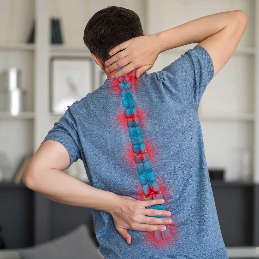 DISCGARD: REHYDRATING SPINAL DISCS - Laurel Mountain Chiropractic Center